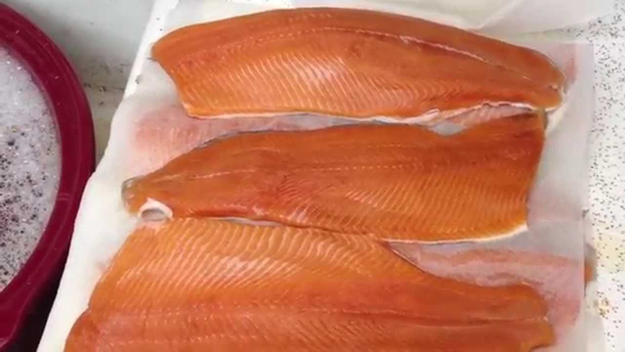 Can you freeze a fresh salmon?