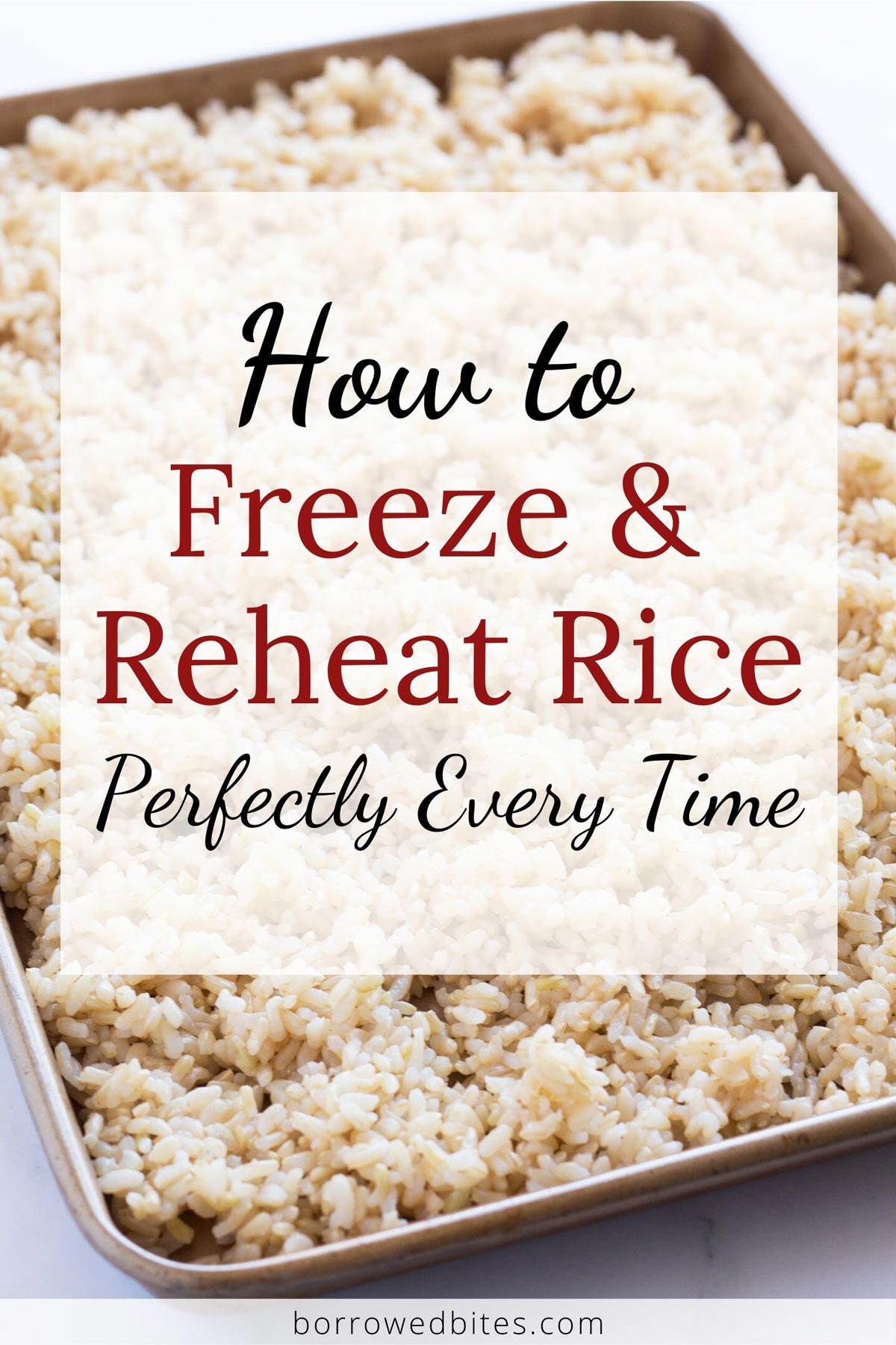 Can you freeze and reheat cooked rice?