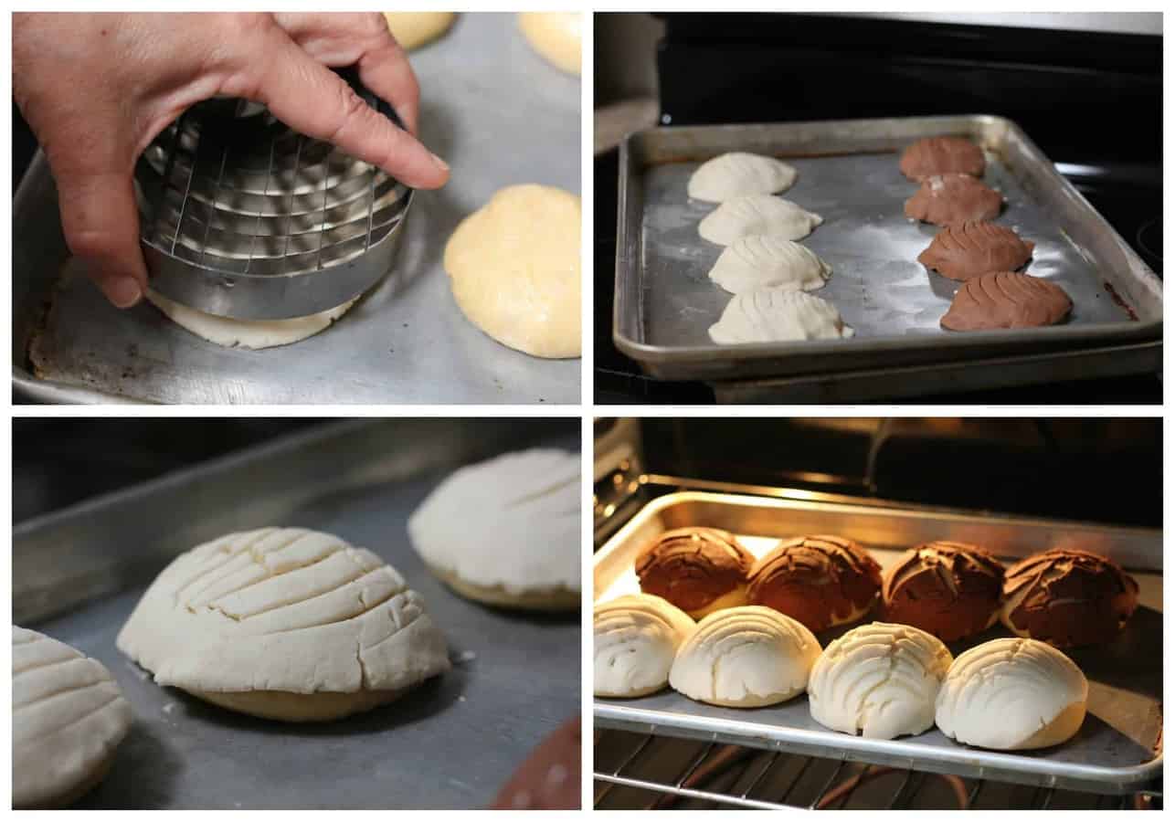 Can you freeze conchas?