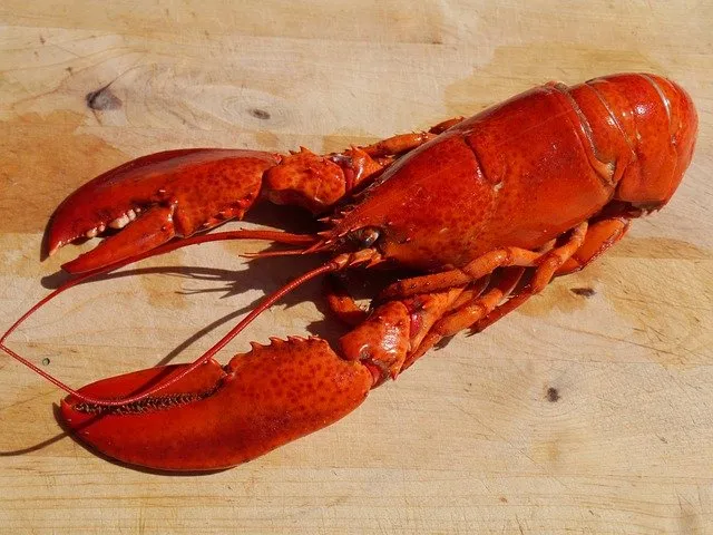 Can you freeze cooked lobster in the shell?