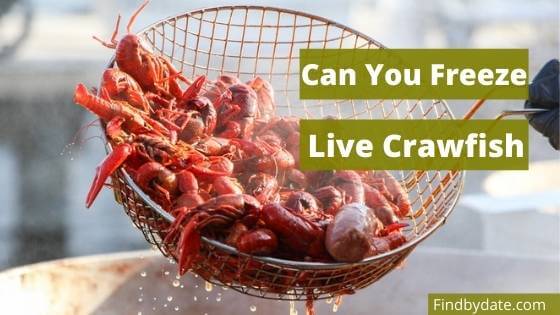 Can You Freeze crawfish?