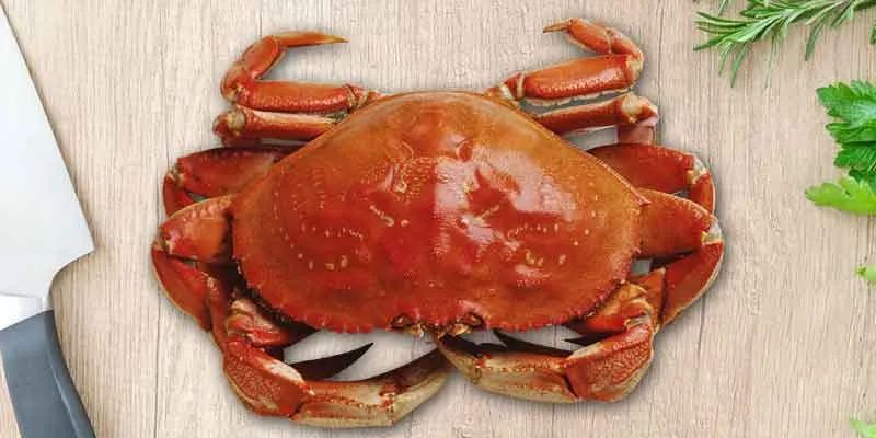 Can you freeze Dungeness crabs?