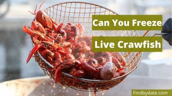 Can you freeze fresh crawfish?