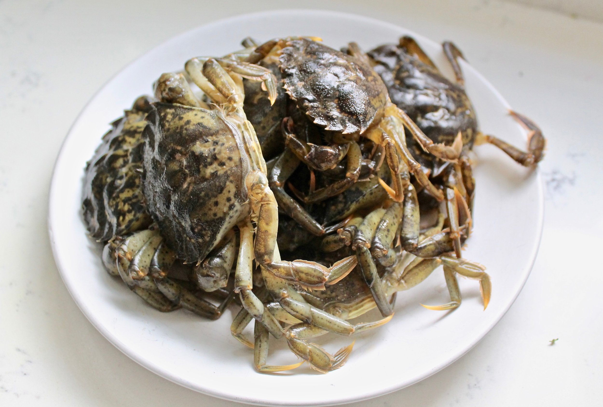 Can you freeze fresh soft shell crab?