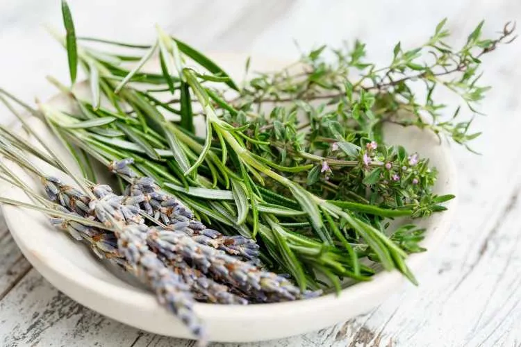 Can you freeze fresh thyme to use later?
