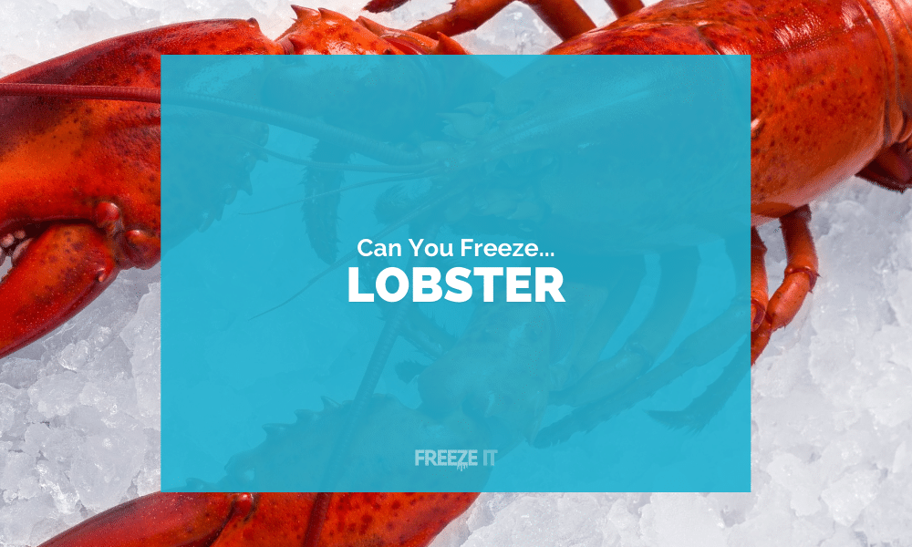 Can you freeze lobster in the shell?