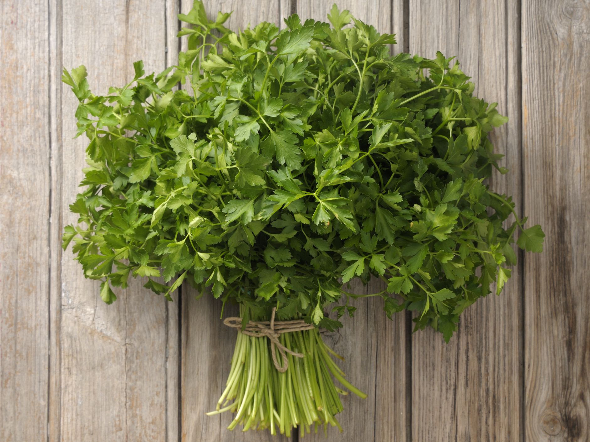 Can you freeze parsley from the garden?