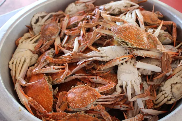 Can you freeze raw crab in the shell?