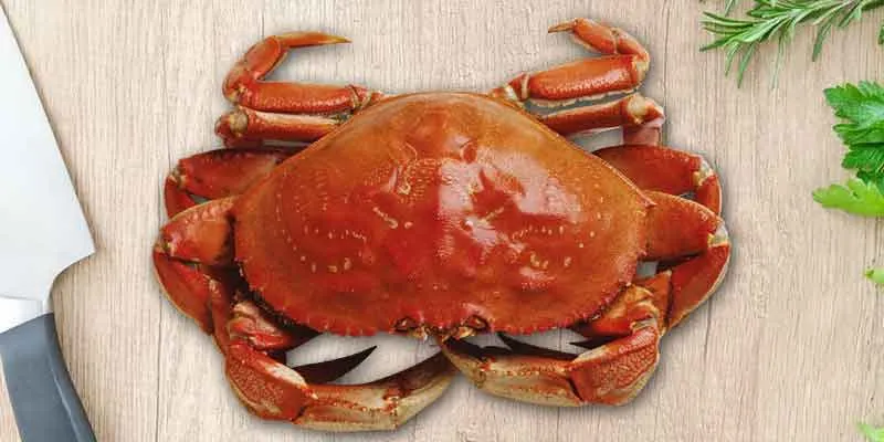 Can you freeze raw Dungeness crab?