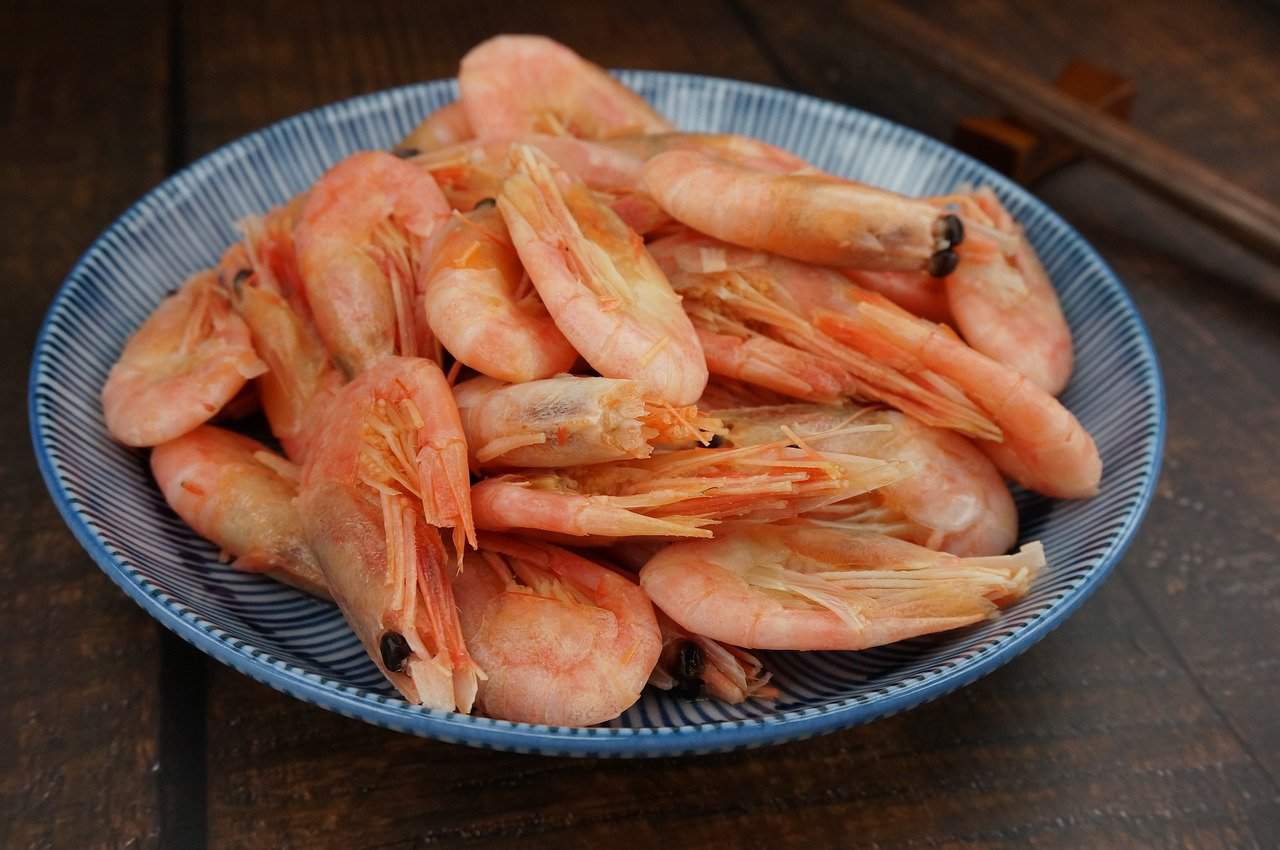 Can you freeze shrimp roe?