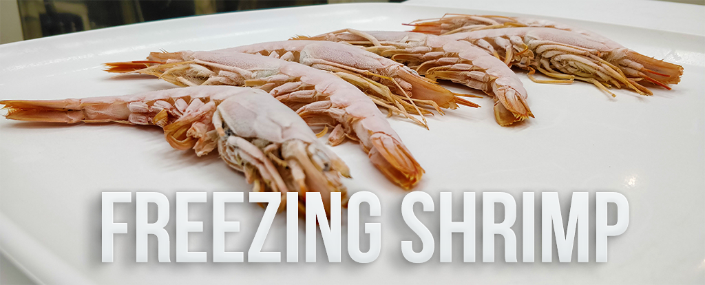 Can you freeze shrimp with ice on it?