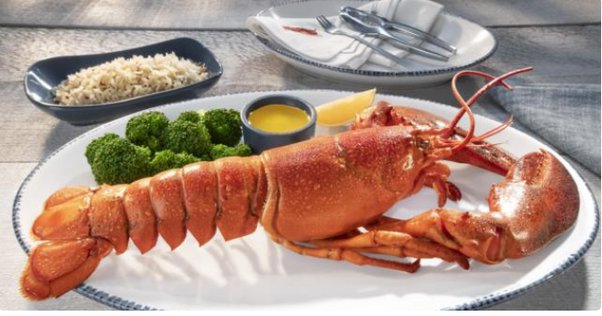 Can you get a whole lobster from Red Lobster?
