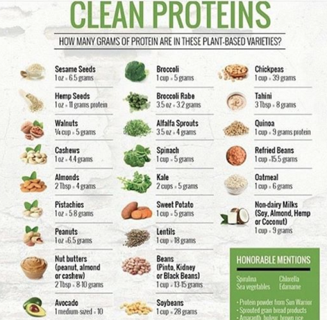 Can you get amino acids not from meat?