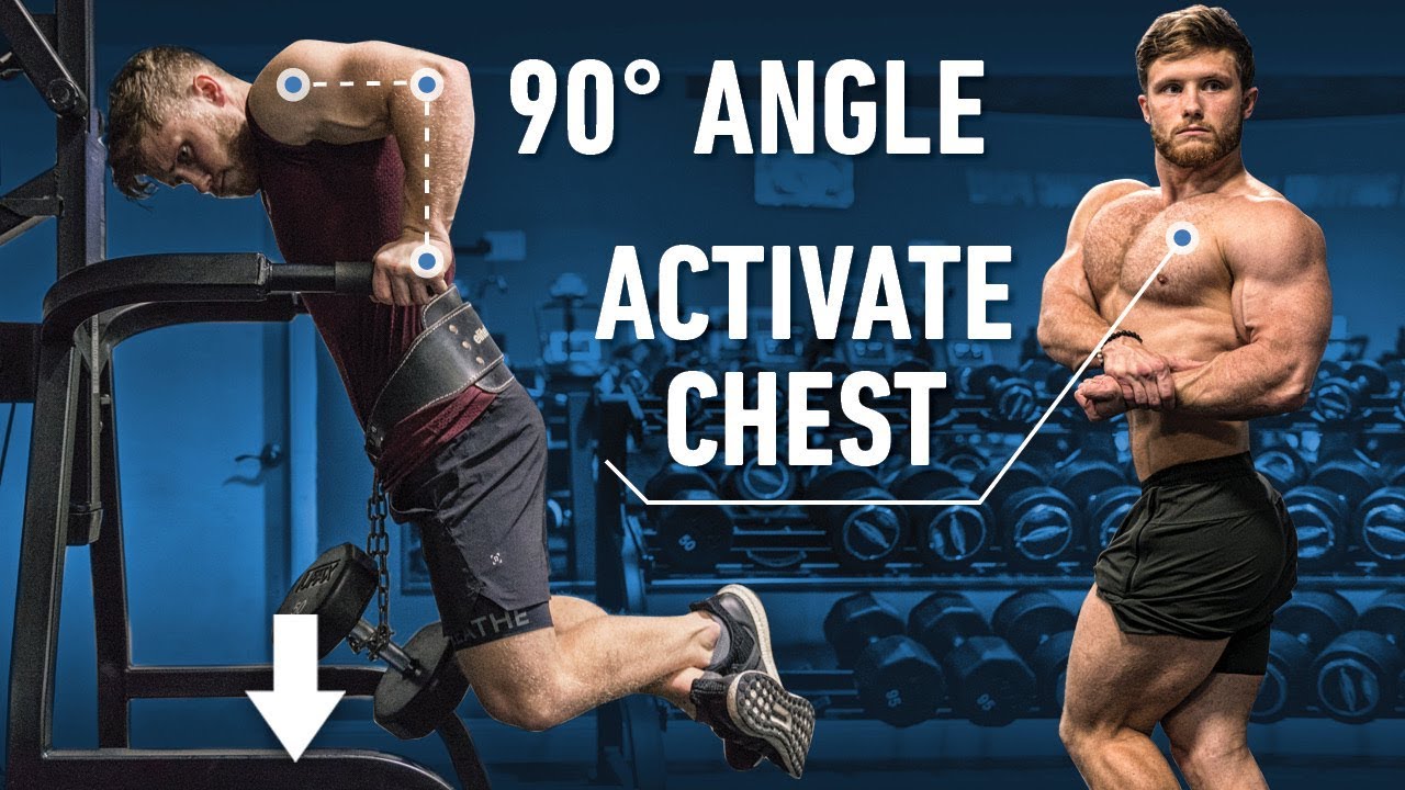 Can you get big chest from dips?