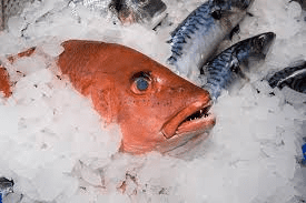 Can you get food poisoning from fully cooked fish?