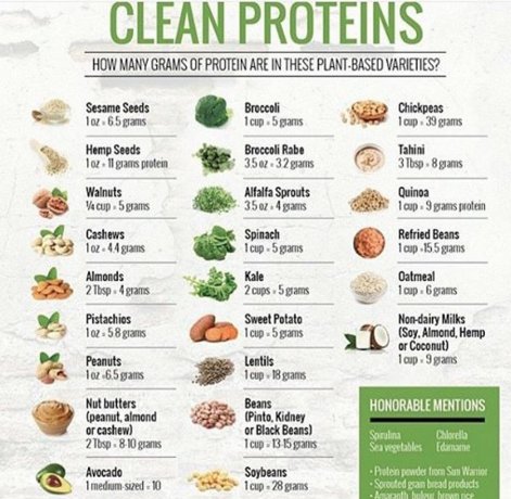 Can you get more protein from plants than meat?