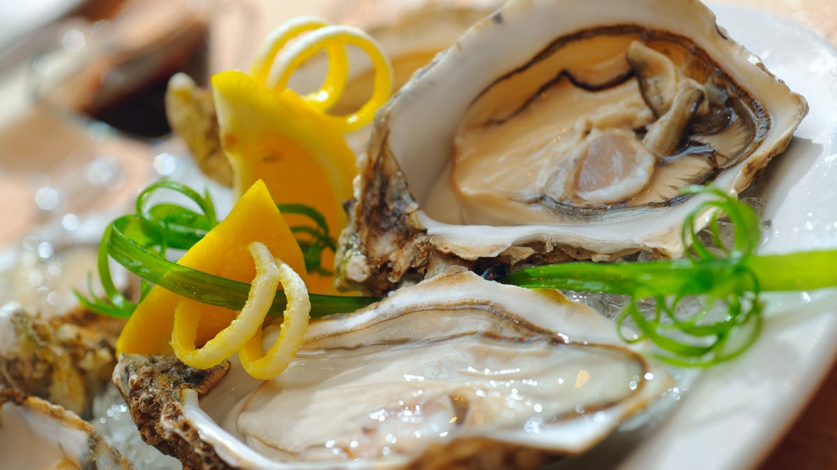 Can you get salmonella from an oyster?