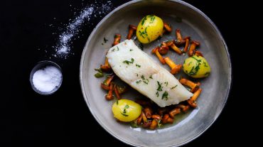 Can you get salmonella from halibut?
