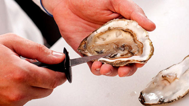 Can you get sick from an oyster cut?