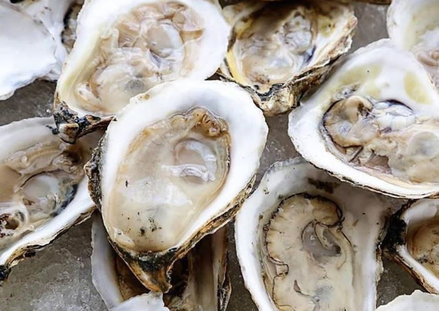 Can you get sick from eating clams?