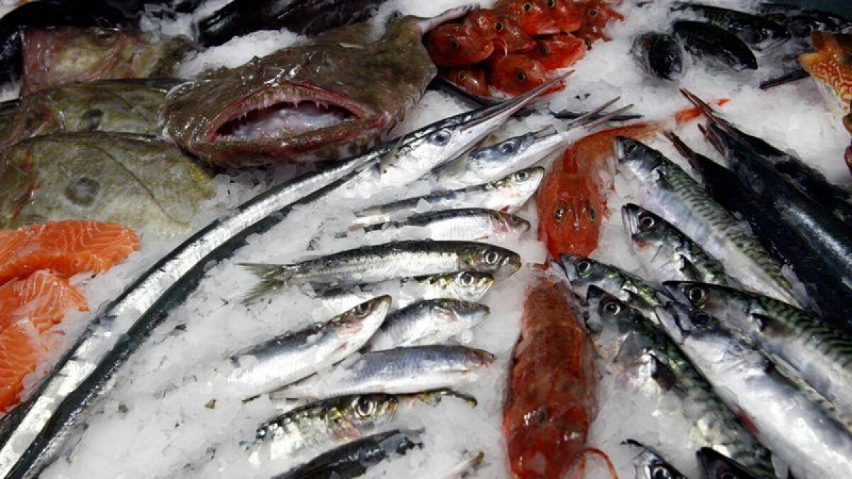 Can you get sick from eating frozen fish?