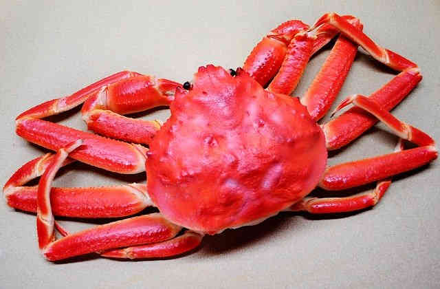 Can you get sick from eating raw crab?