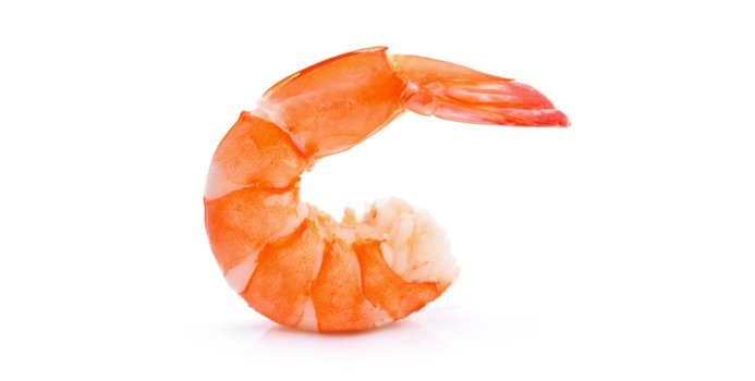 Can you get sick from eating shrimp veins?