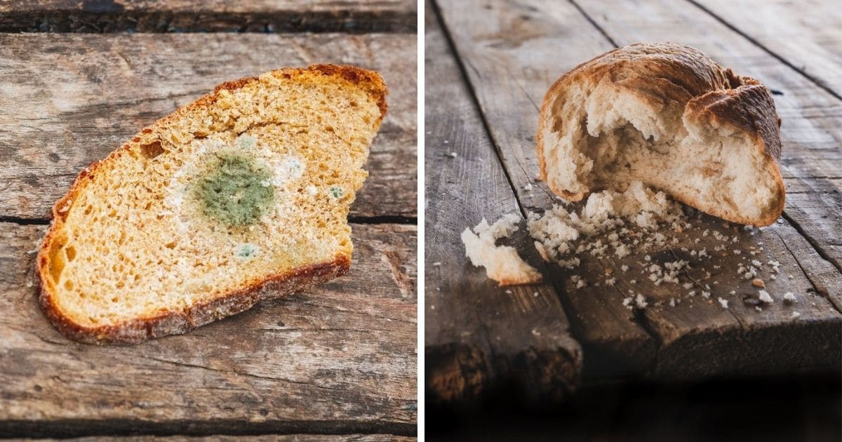 Can you get sick from old sourdough bread?