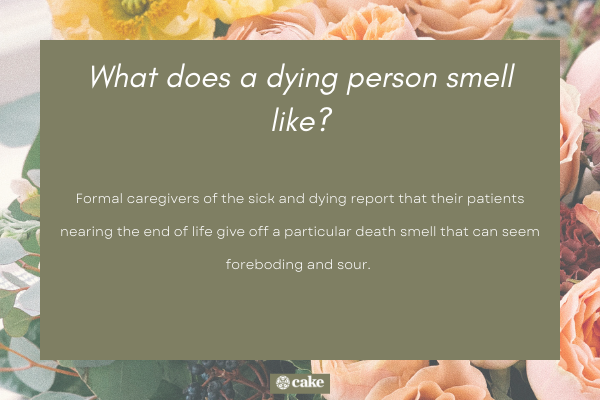 Can you get sick from the smell of a dead person?