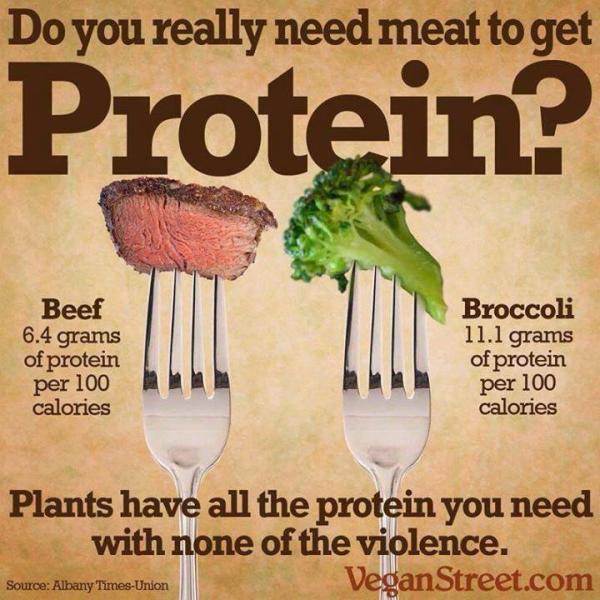 Can you get the same protein from vegetables as meat?