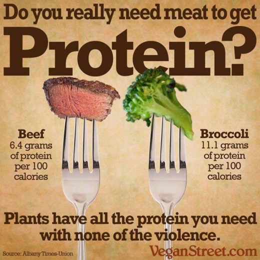 Can you get too much protein on a vegan diet?