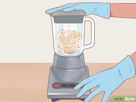 Can you grind bones in a blender?