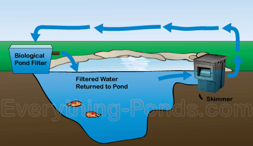 Can you have too much biological filtration?