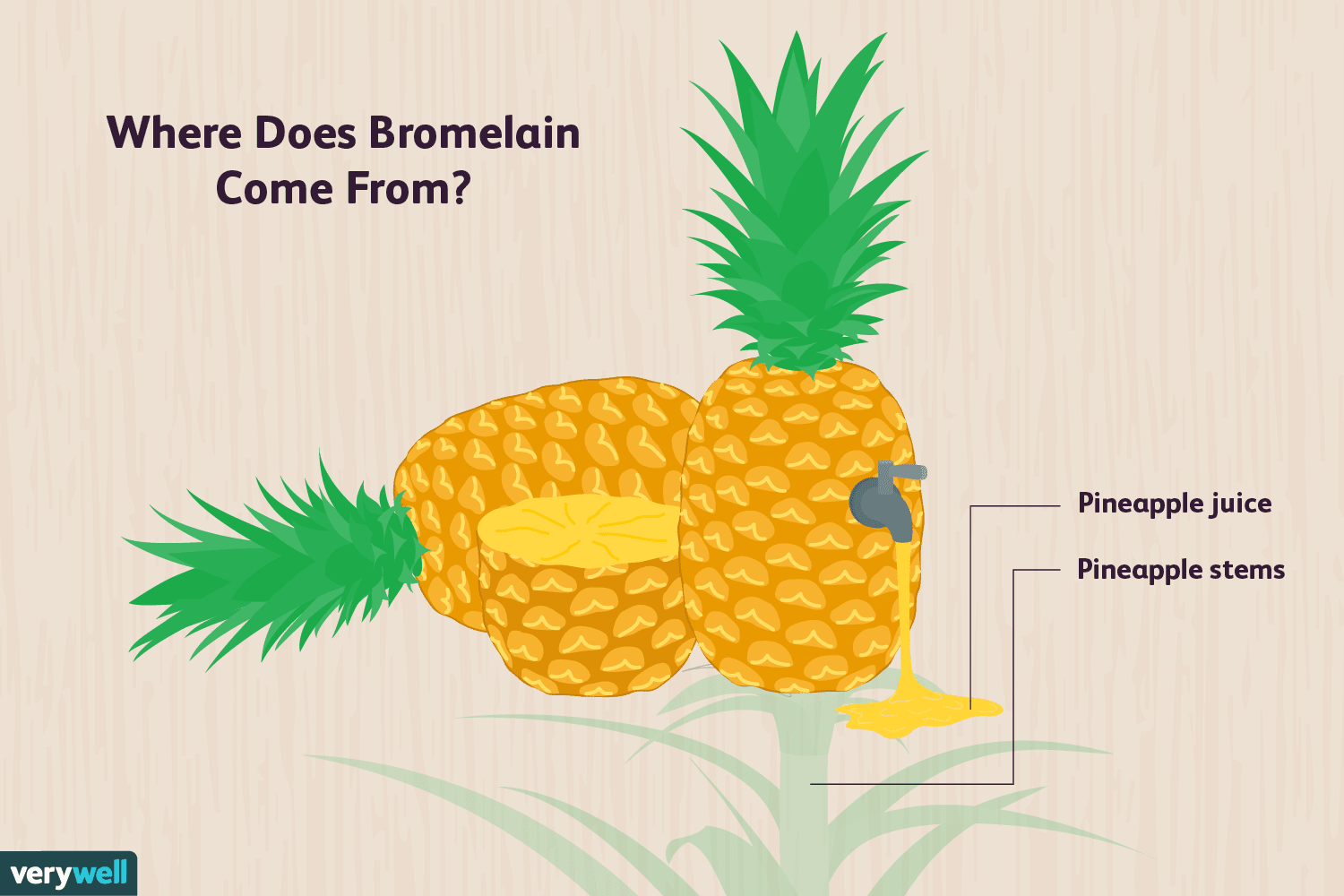 Can you have too much bromelain?