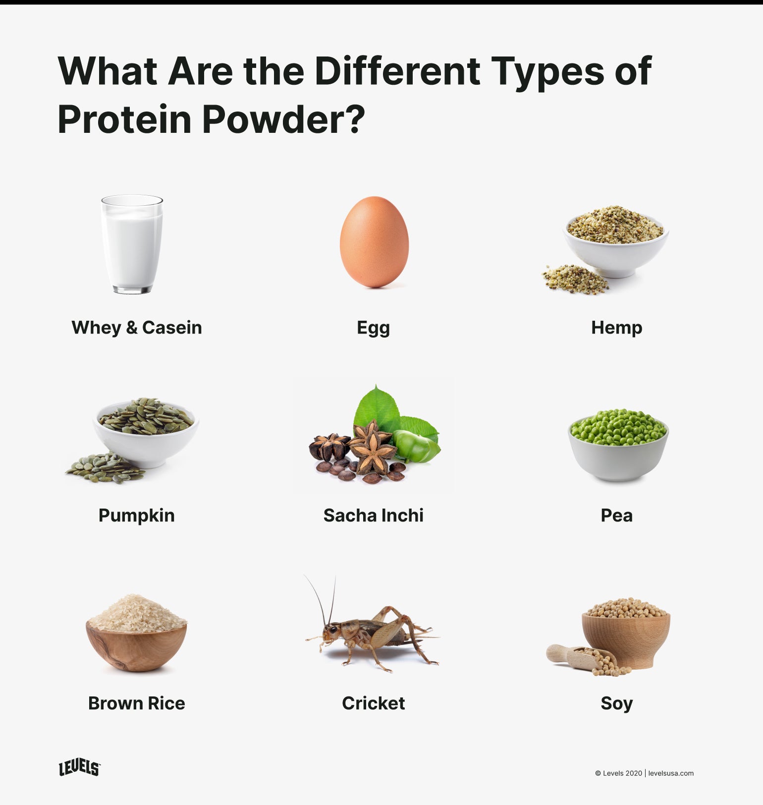 Can you have whey protein on a vegan diet?