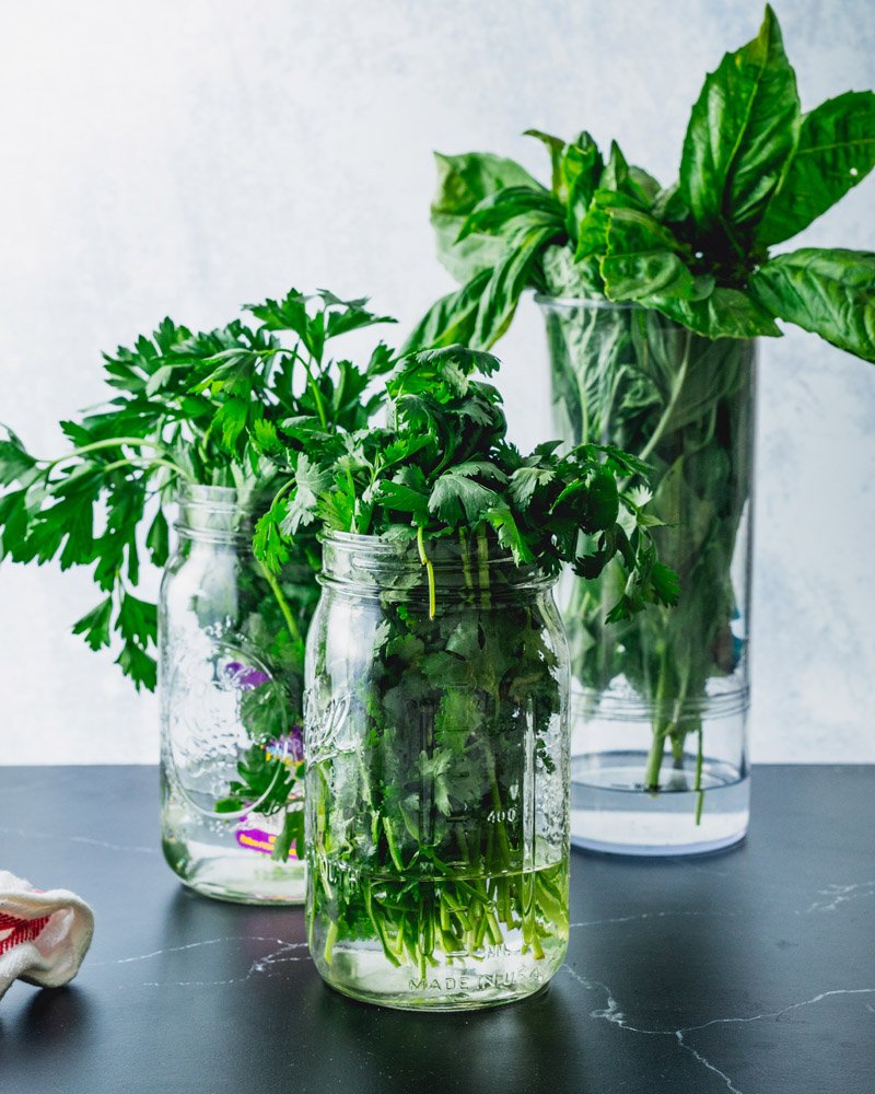 Can you keep herbs in water on the counter?