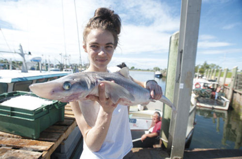 Can you keep monkfish and dogfish?