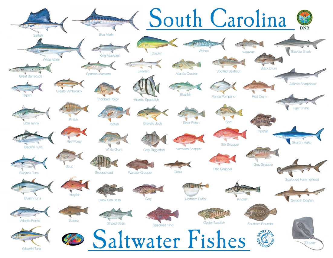 Can you keep the fish you catch in South Carolina?