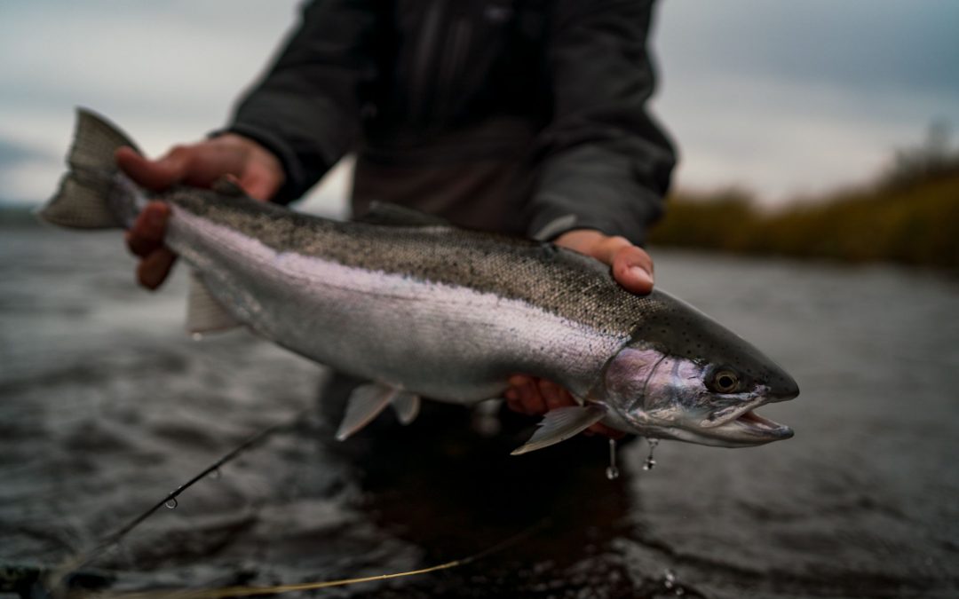 Can you keep trout in Alaska?