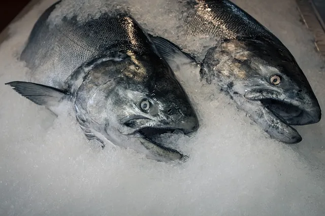 Can you kill bacteria in fish by cooking?