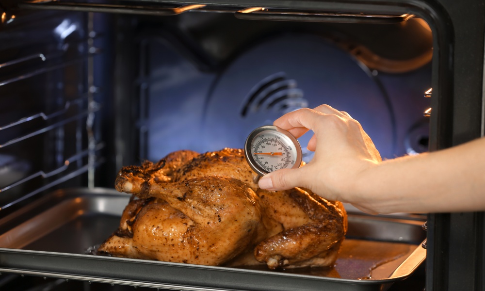Can you leave a thermometer in the oven while cooking?