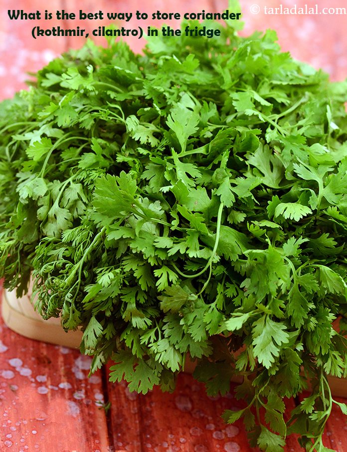 Can you leave cilantro out of the fridge?