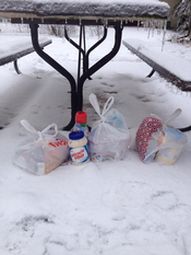 Can you leave frozen food outside?