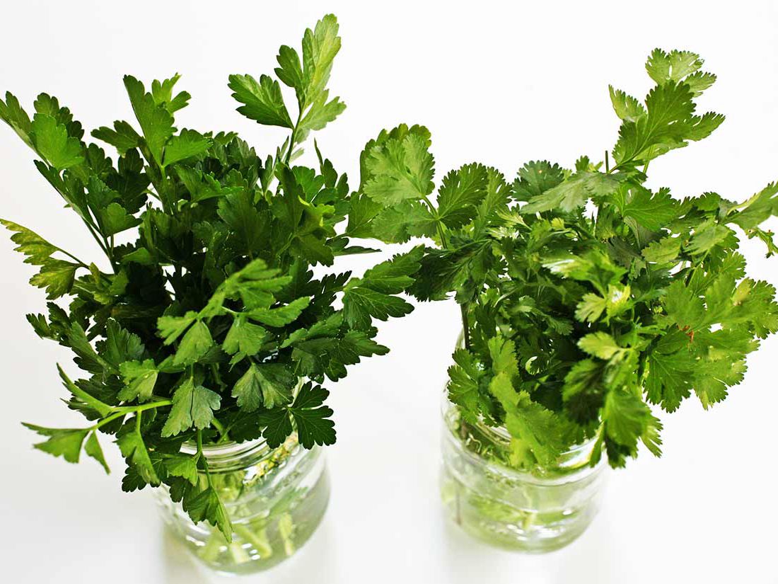 Can you leave parsley in water?