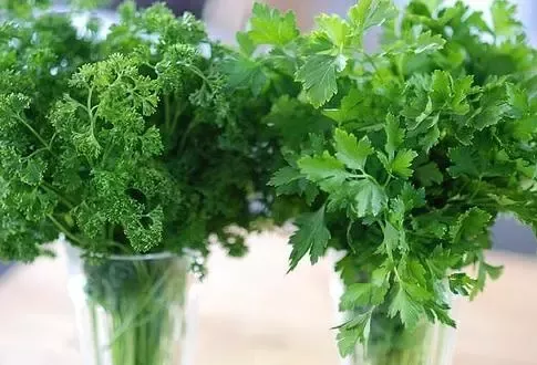 Can you leave parsley out of a recipe?