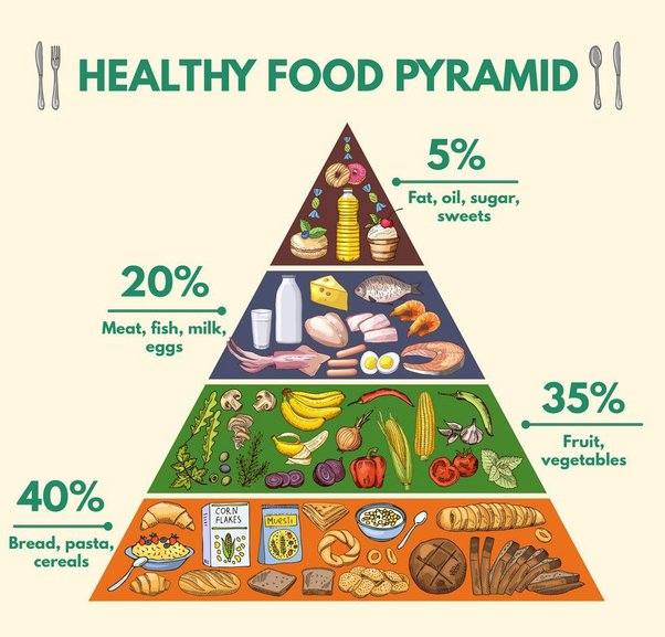 Can you live without animal protein?