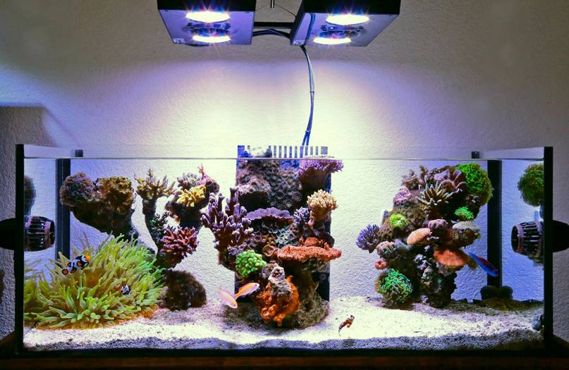 Can you make your own salt water for a tank?
