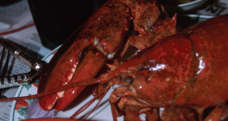 Can you microwave raw lobster?