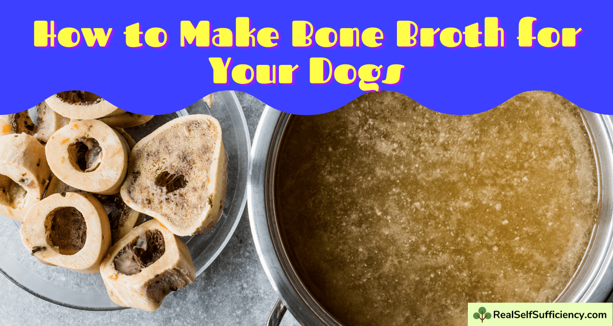 Can you mix bone broth with dry dog food?