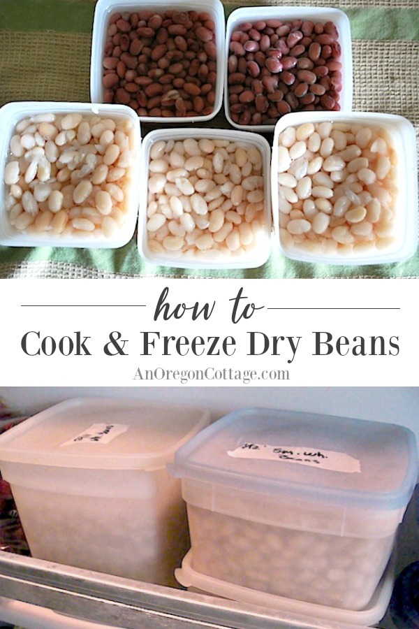 Can you preserve cooked beans?